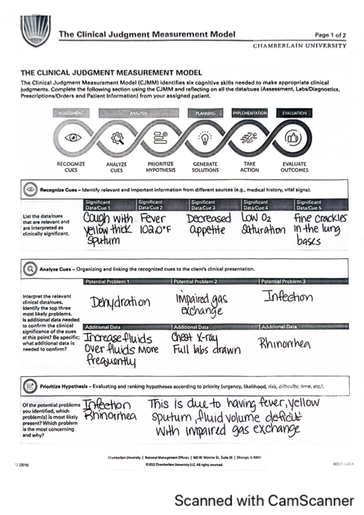 CJMM Clinical Judgment Model Notes for PEDS Course - Studocu