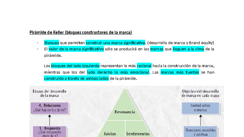 Marcas y la Pirámide de Keller: Construcción de Brand Equity - Studocu
