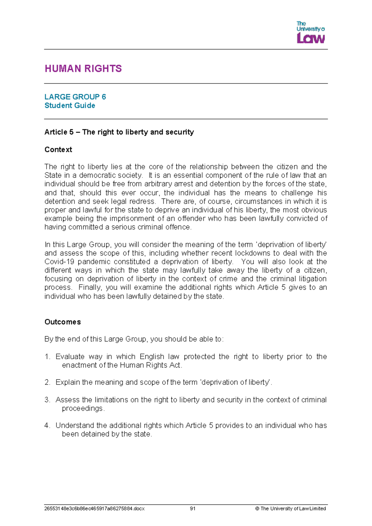 Student guide 6 - notes on human - HUMAN RIGHTS LARGE GROUP 6 Student ...