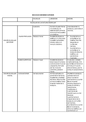 2. Resumen de inervación de mmii - Inervacion del miembro inferior La ...