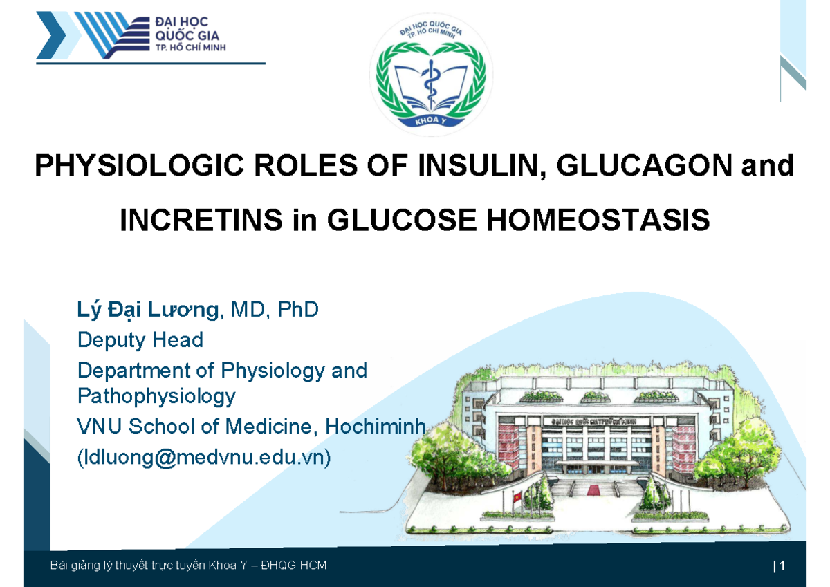 PHYSIOLOGIC ROLES OF INSULIN & GLUCAGON IN GLUCOSE HOMEOSTASIS ...