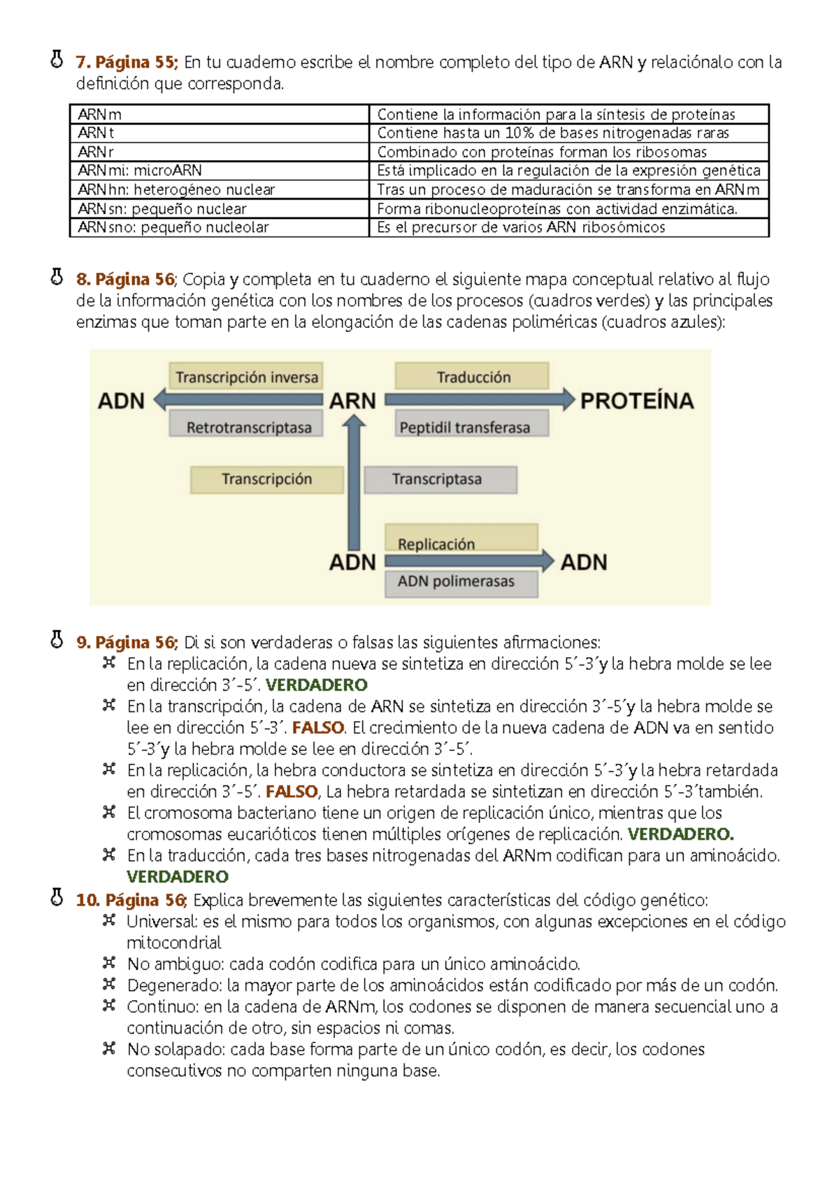 Hoja De Trabajo Con Respuestas Sobre Proteínas De Adn Y Arn
