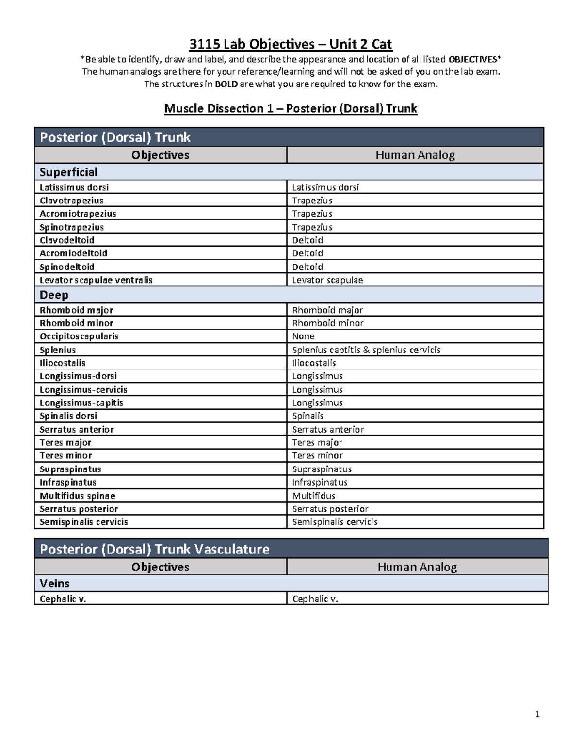 3115 Unit 2 Objectives List Spring 2024 - 3115 Lab Objectives – Unit 2 ...