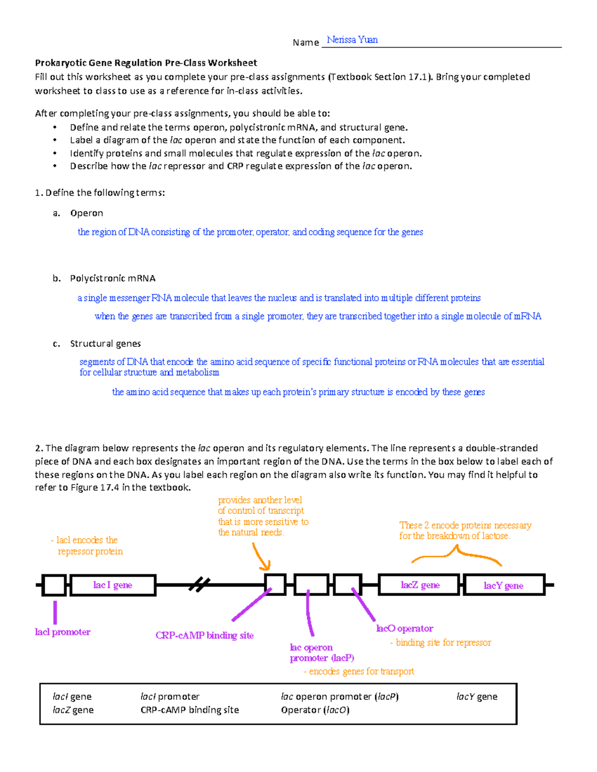 Week 6b Pre-Class Reading Guide: Prokaryotic Gene Regulation Worksheet ...