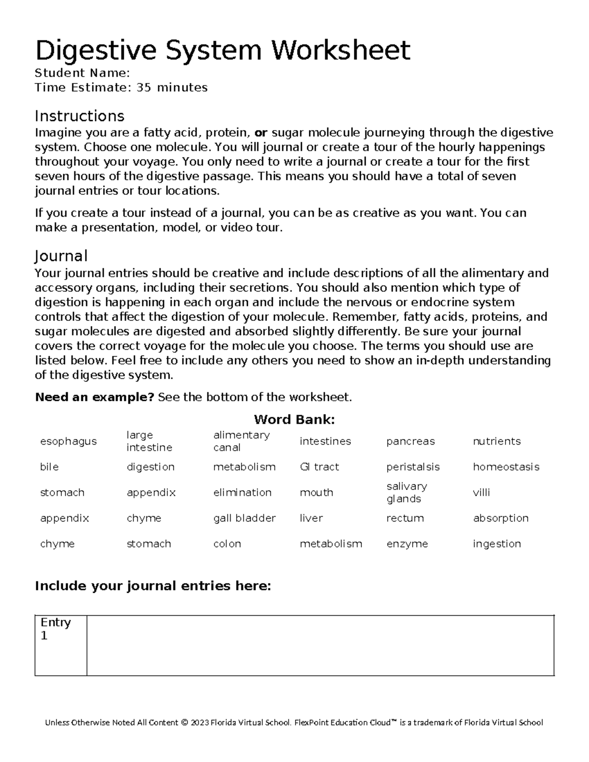 Digestive System Journey Worksheet: A Creative Exploration Task - Studocu