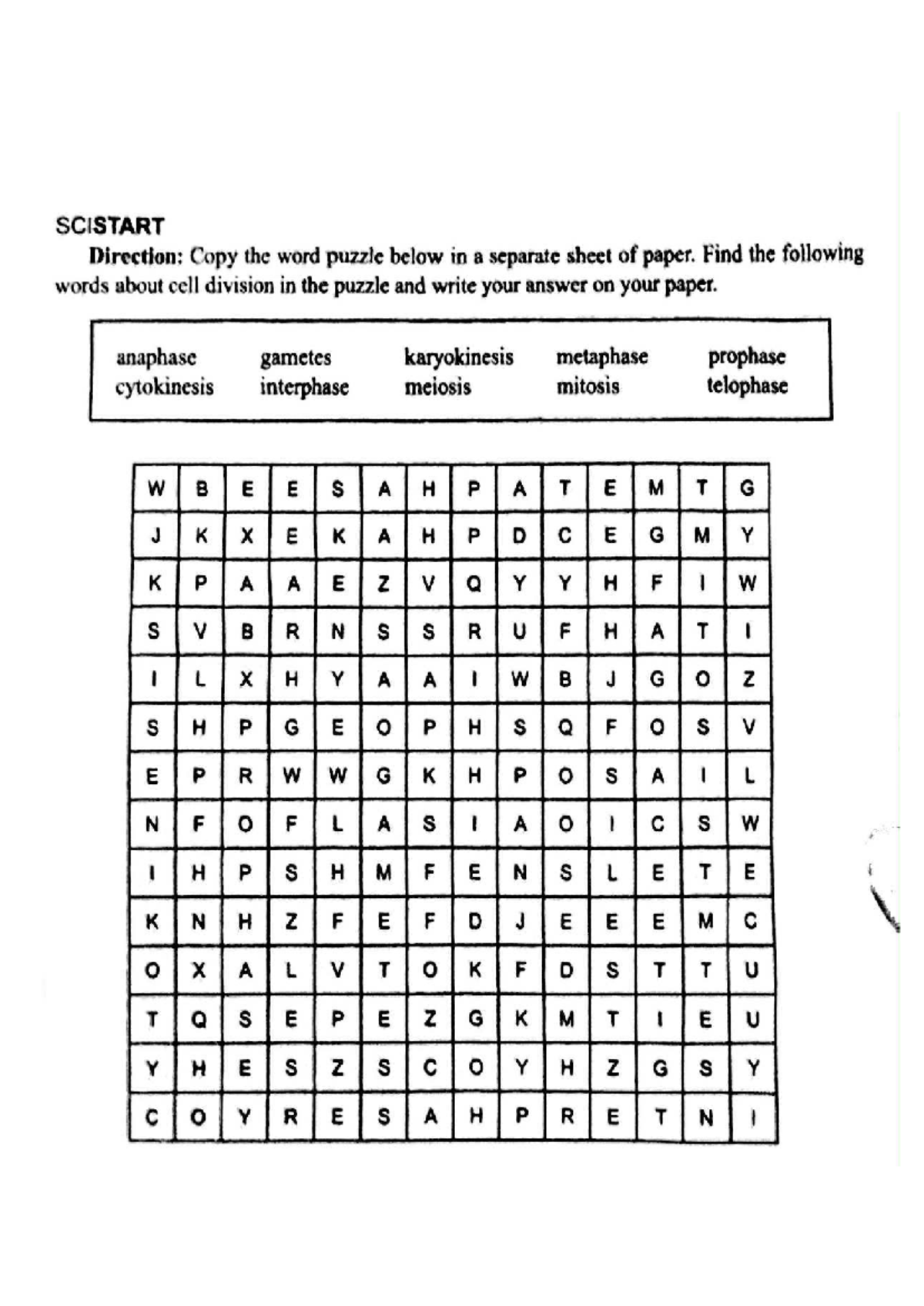 SCISTART Activity: Cell Division Word Puzzle Challenge - Studocu