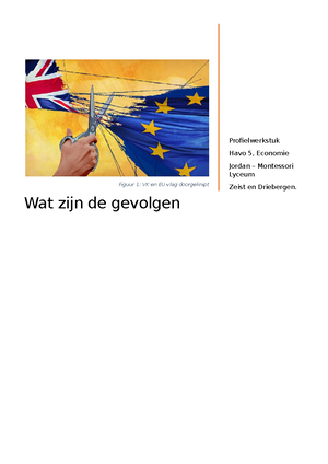 Handleiding profielwerkstuk havo versie 2024-2025 (definitief ...