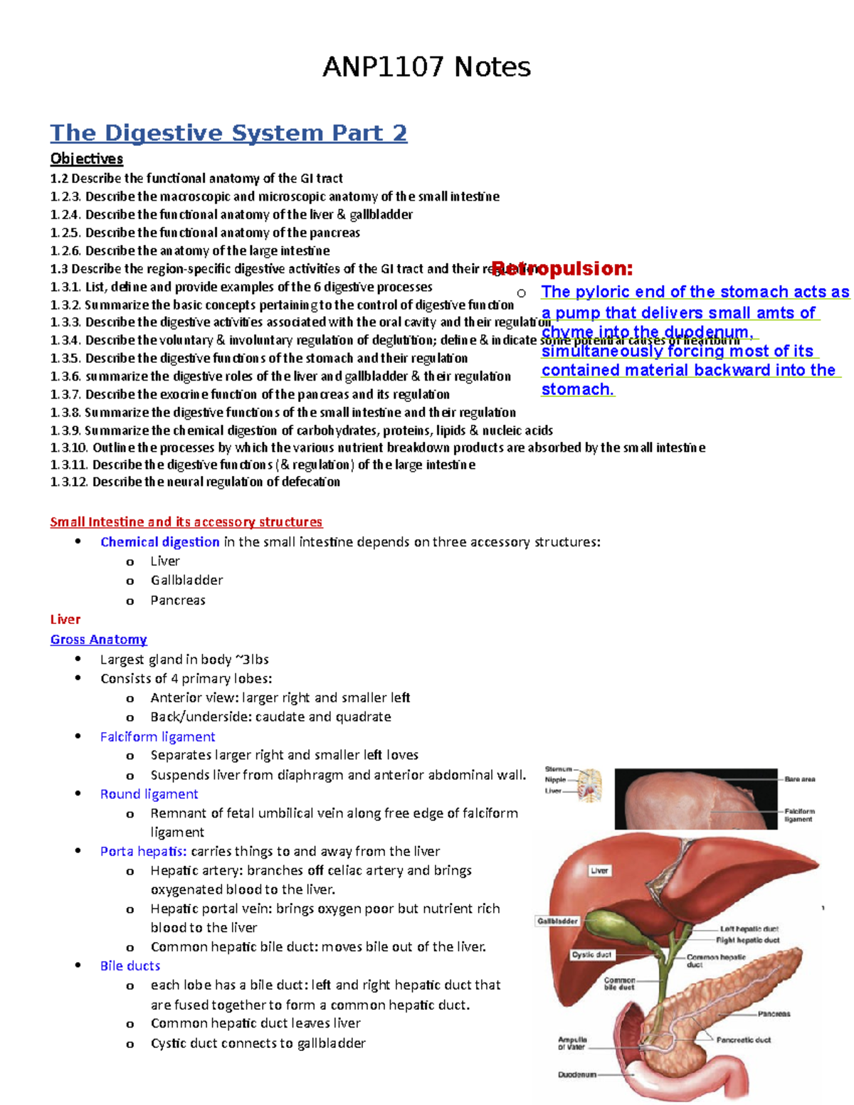 ANP1107 Notes.docx - Lecture notes - ANP1107 Notes The Digestive System ...