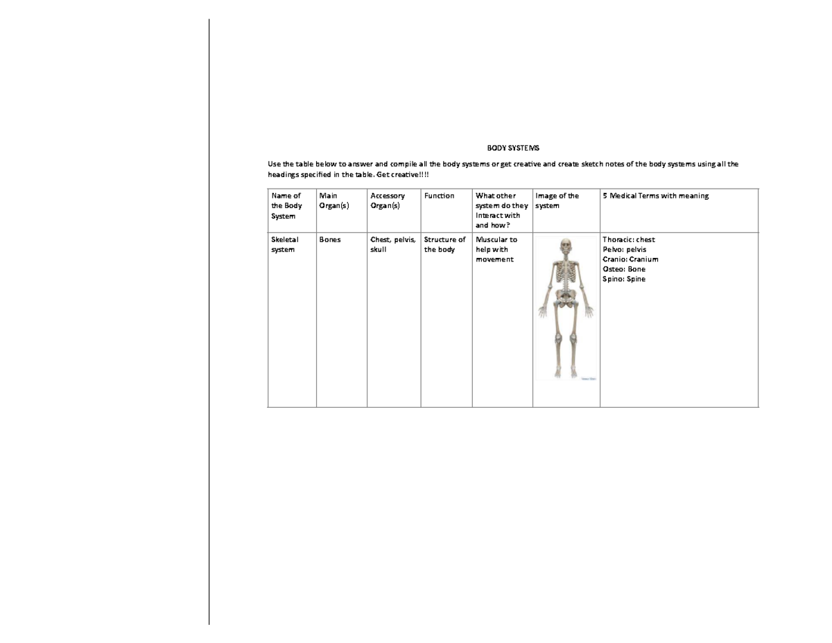 Body Systems Overview Chart: Functions & Interactions - Studocu