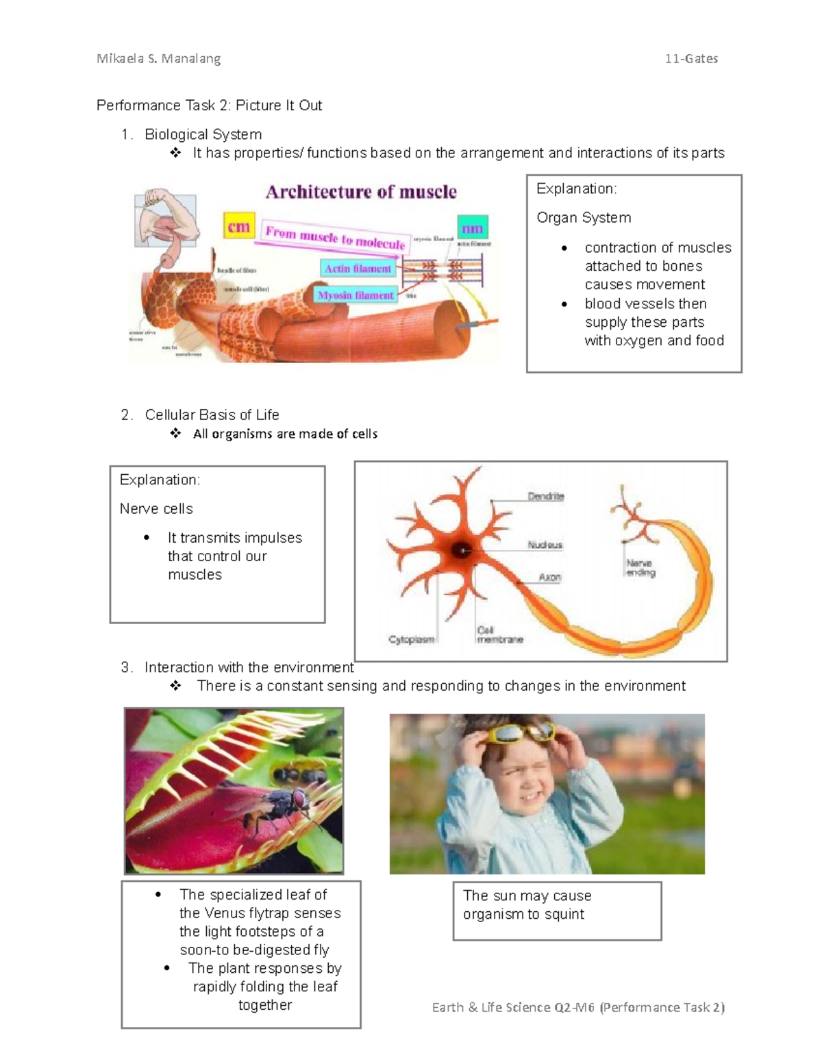 PT 2 - Performance Task 2: Understanding Biological Systems - Studocu