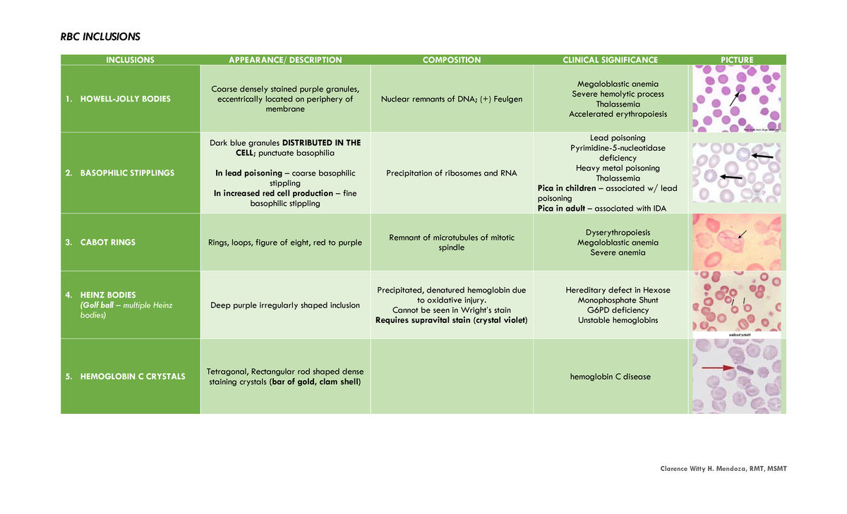 RBC Inclusions: Clinical Significance & Types - Inclusions-2 - Studocu