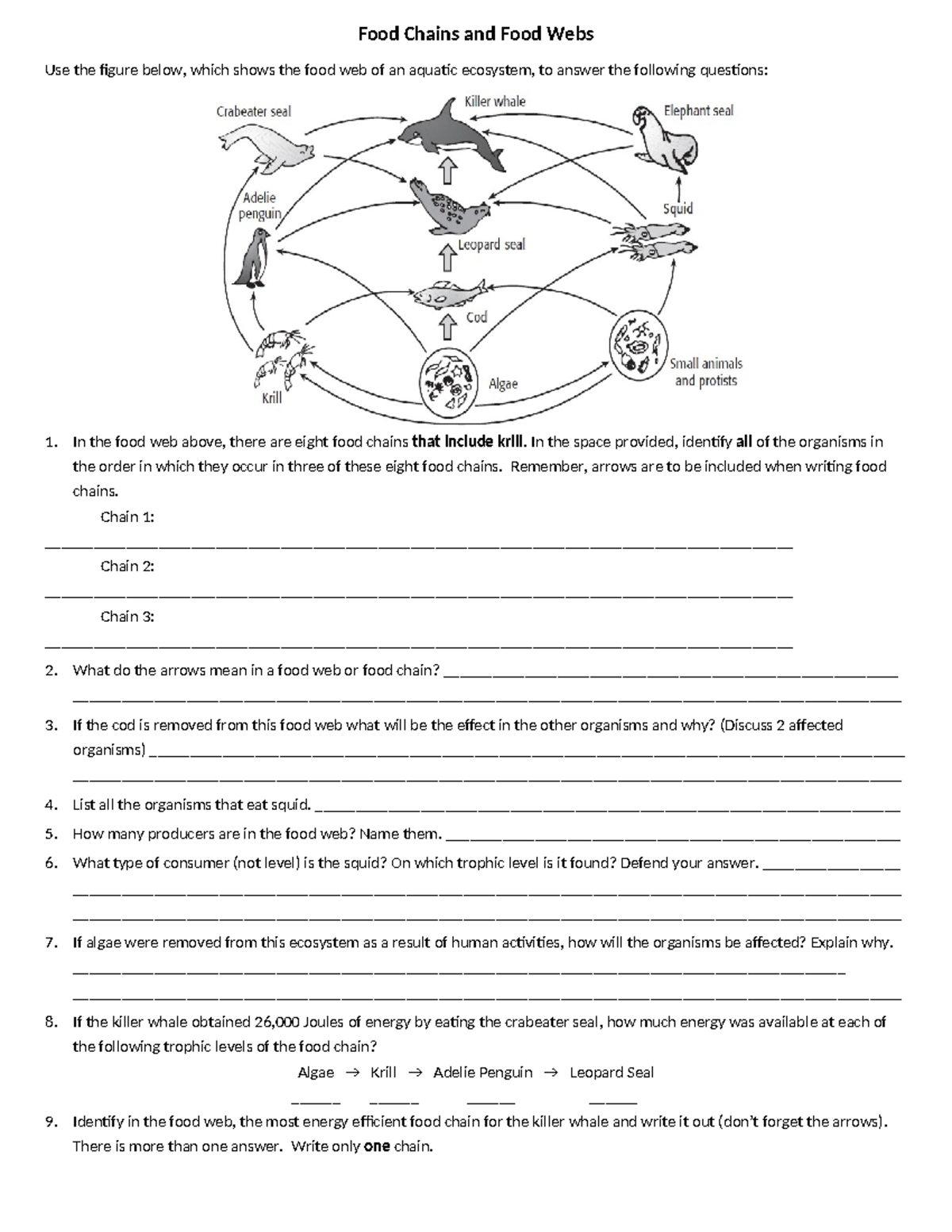Food Chains and Food Webs Worksheet - Food Chains and Food Webs Use the ...