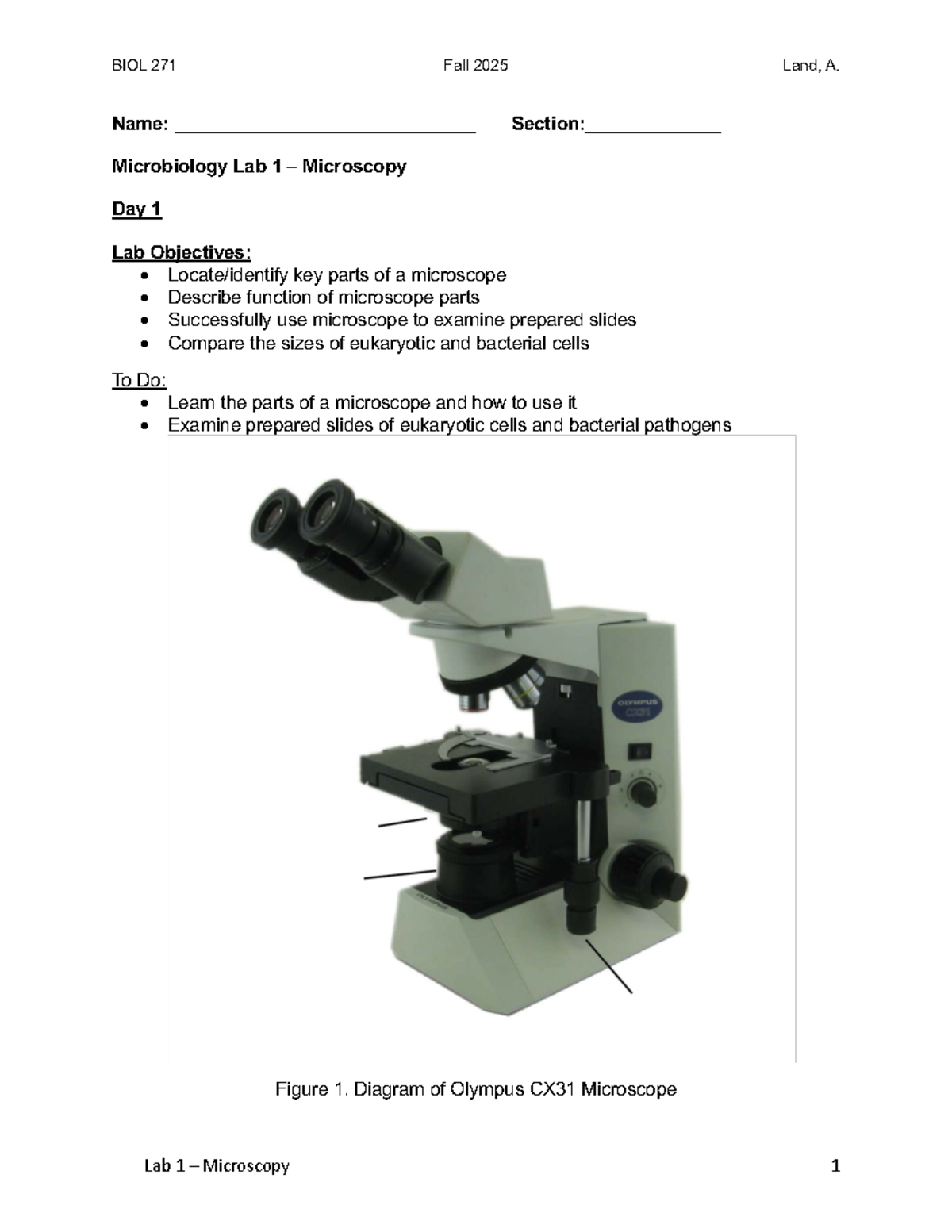 BIOL 271 Fall 2025 Microbiology Lab 1: Microscopy Techniques and ...