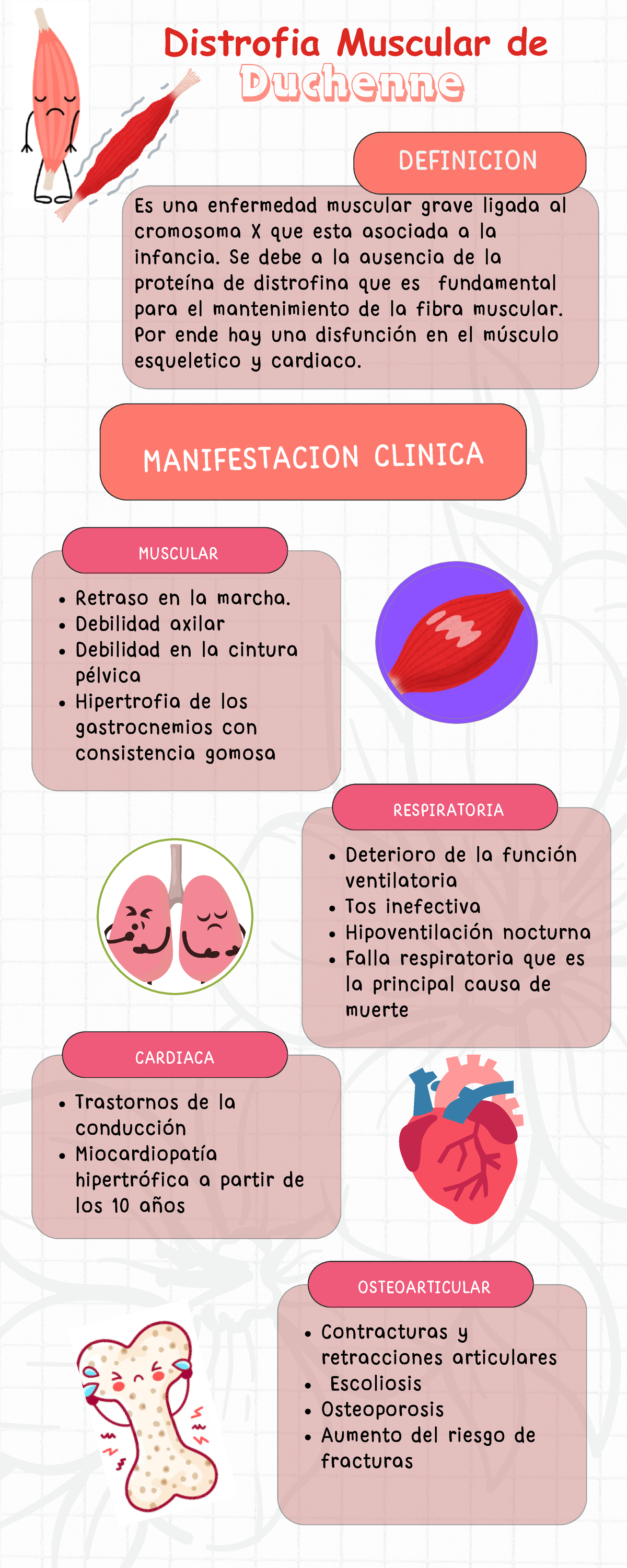 Infografia Distrofias Musculares - MANIFESTACION CLINICA Retraso en la ...