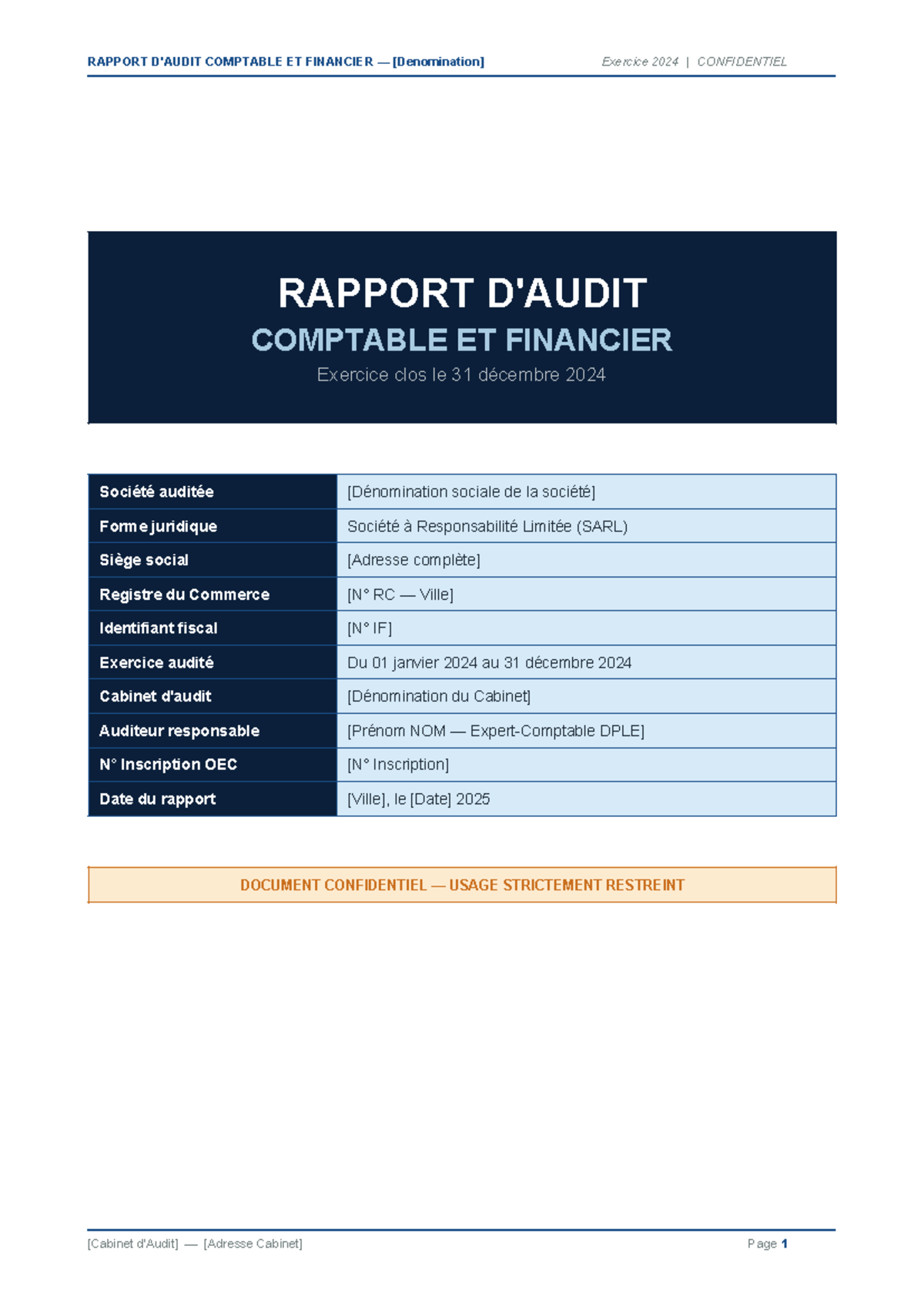 Rapport d'Audit Comptable et Financier 2024 - Exercice Clos 31 Décembre ...