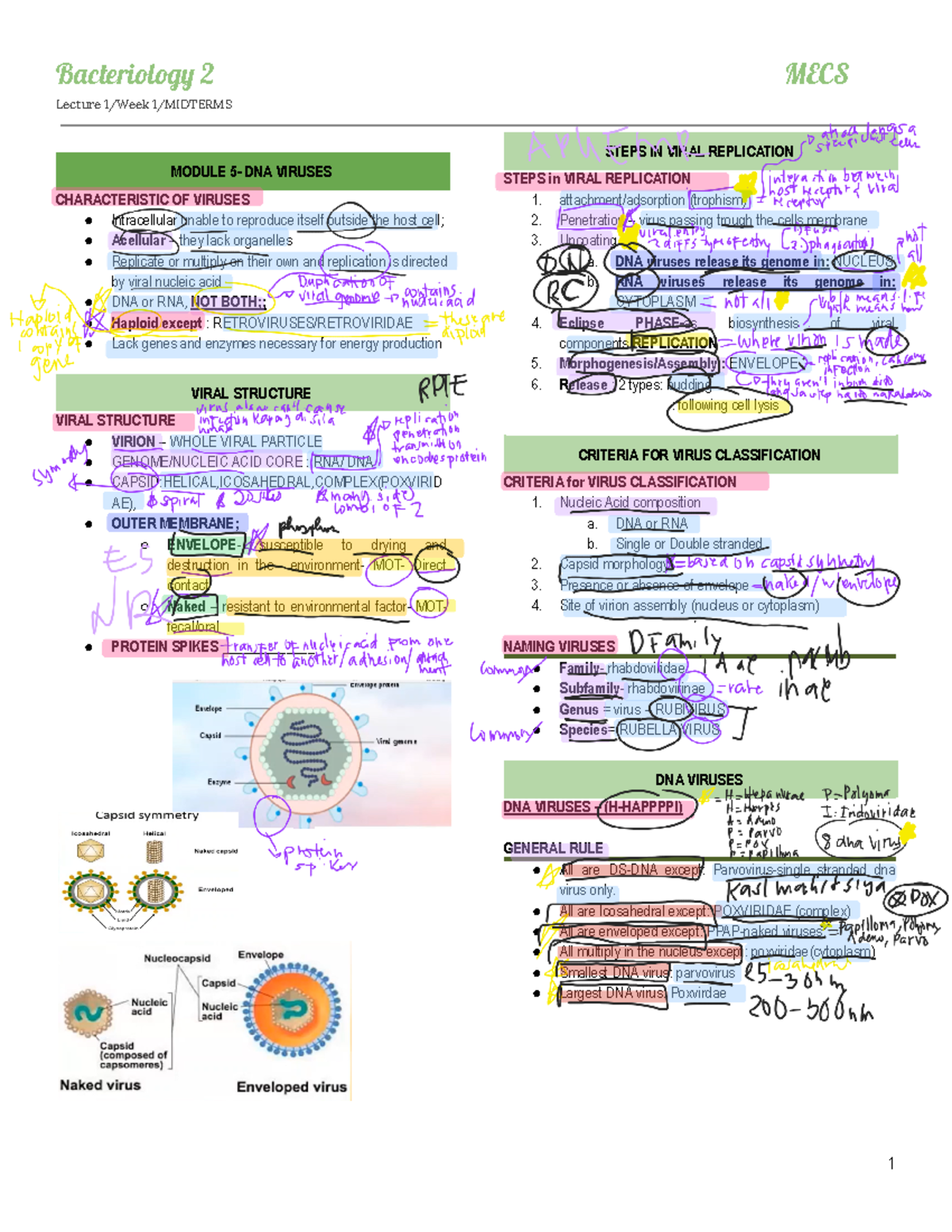 Bacte 2 Semis Lesson 2 - Bacteriolog 2 MECS Lecture 1/Week 1/MIDTERMS ...