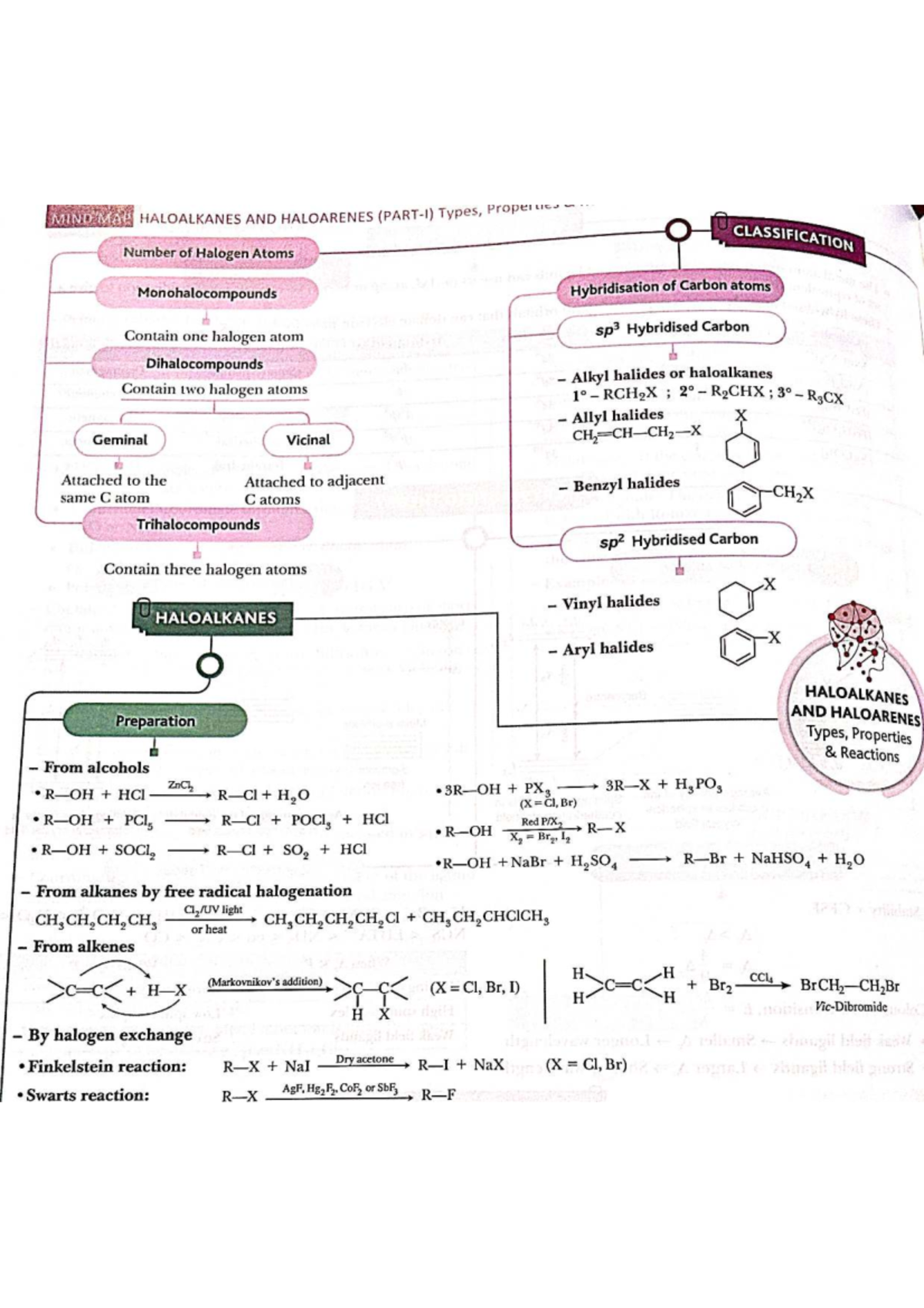Mind Map: Haloalkanes and Haloarenes - Types, Properties, and Reactions ...
