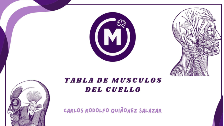 Músculos del Cuello y Triángulos - MORFO MACRO I UCSG - Studocu