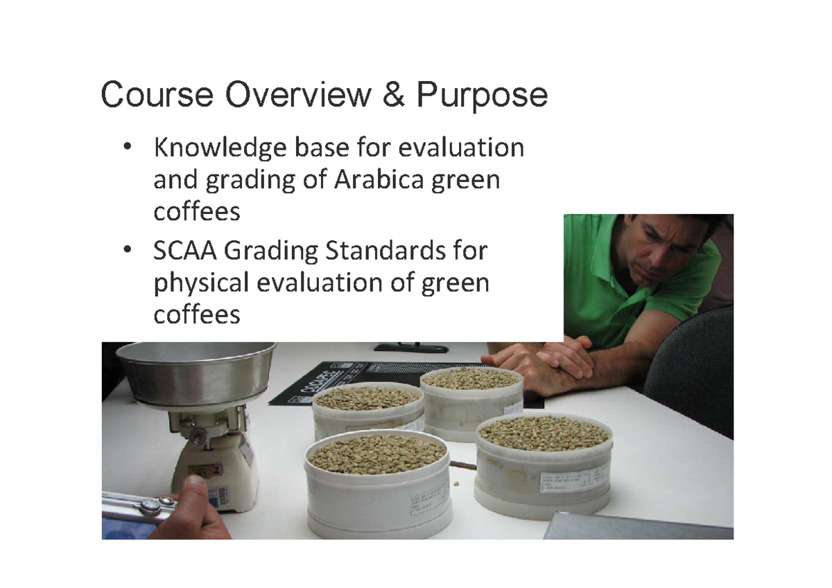 SCAA 101: Cupping Protocols for Evaluating Green Arabica Beans - Studocu