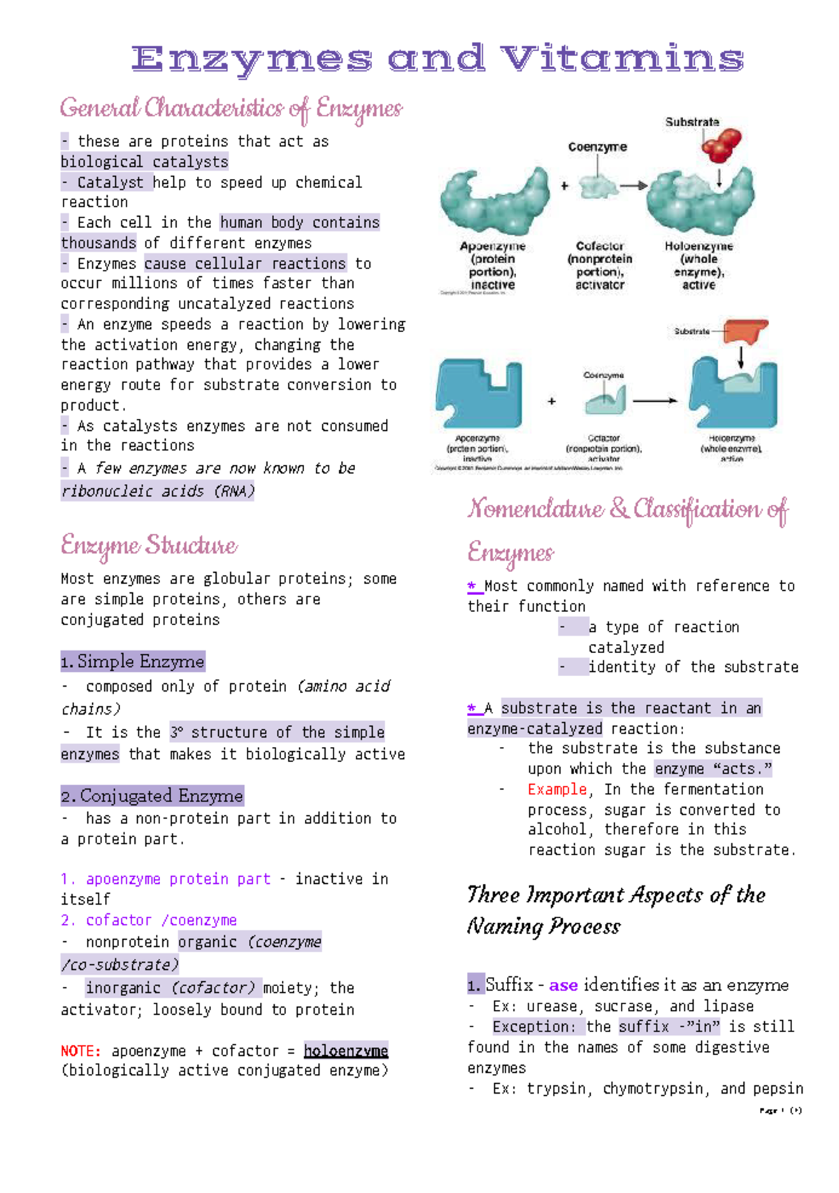 Biology 101: Enzymes and Vitamins Lecture Notes - Studocu