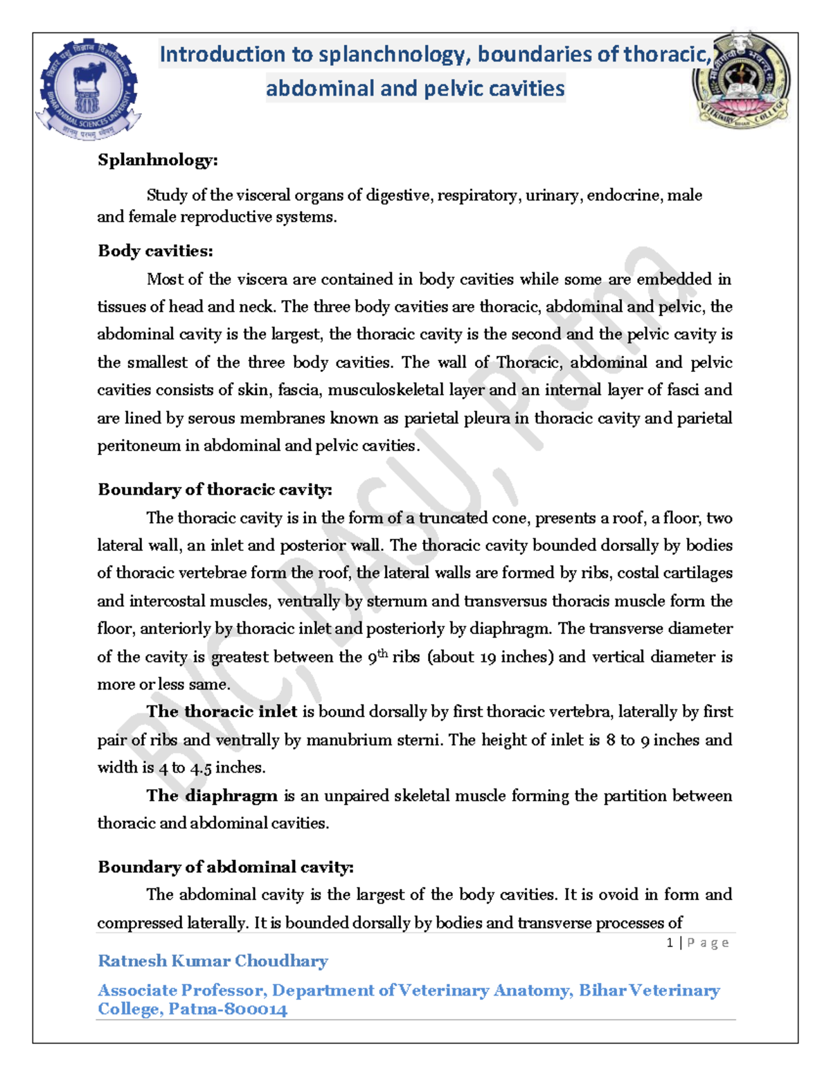 Boundaries of body cavities - Introduction to splanchnology, boundaries ...