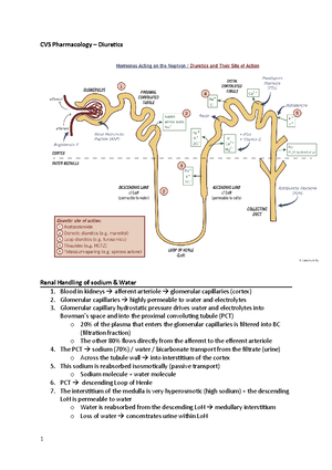 Clinical Core Tutorial - PR Bleeding - Surgery – CTT 3 - PR Bleeding ...