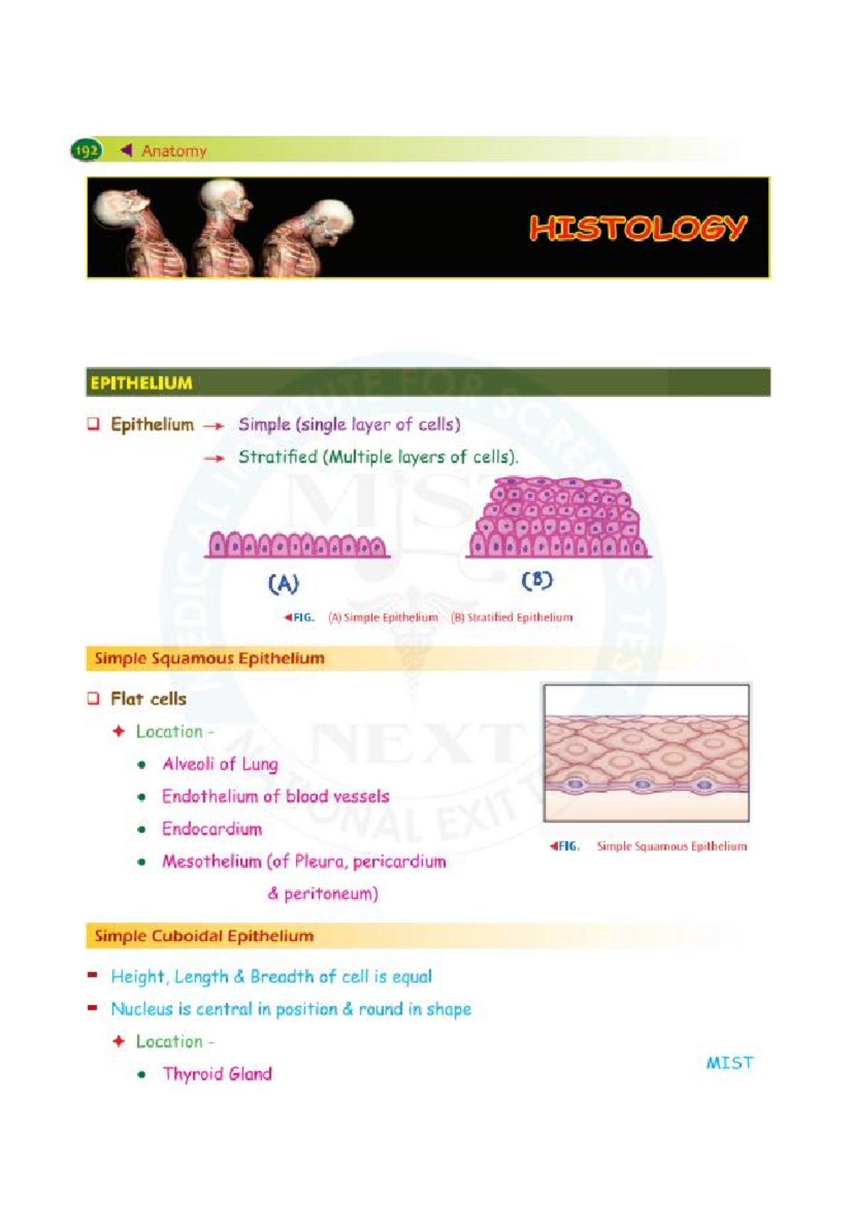 Histology Summary: Epithelium Types and Locations (MIST) - Studocu