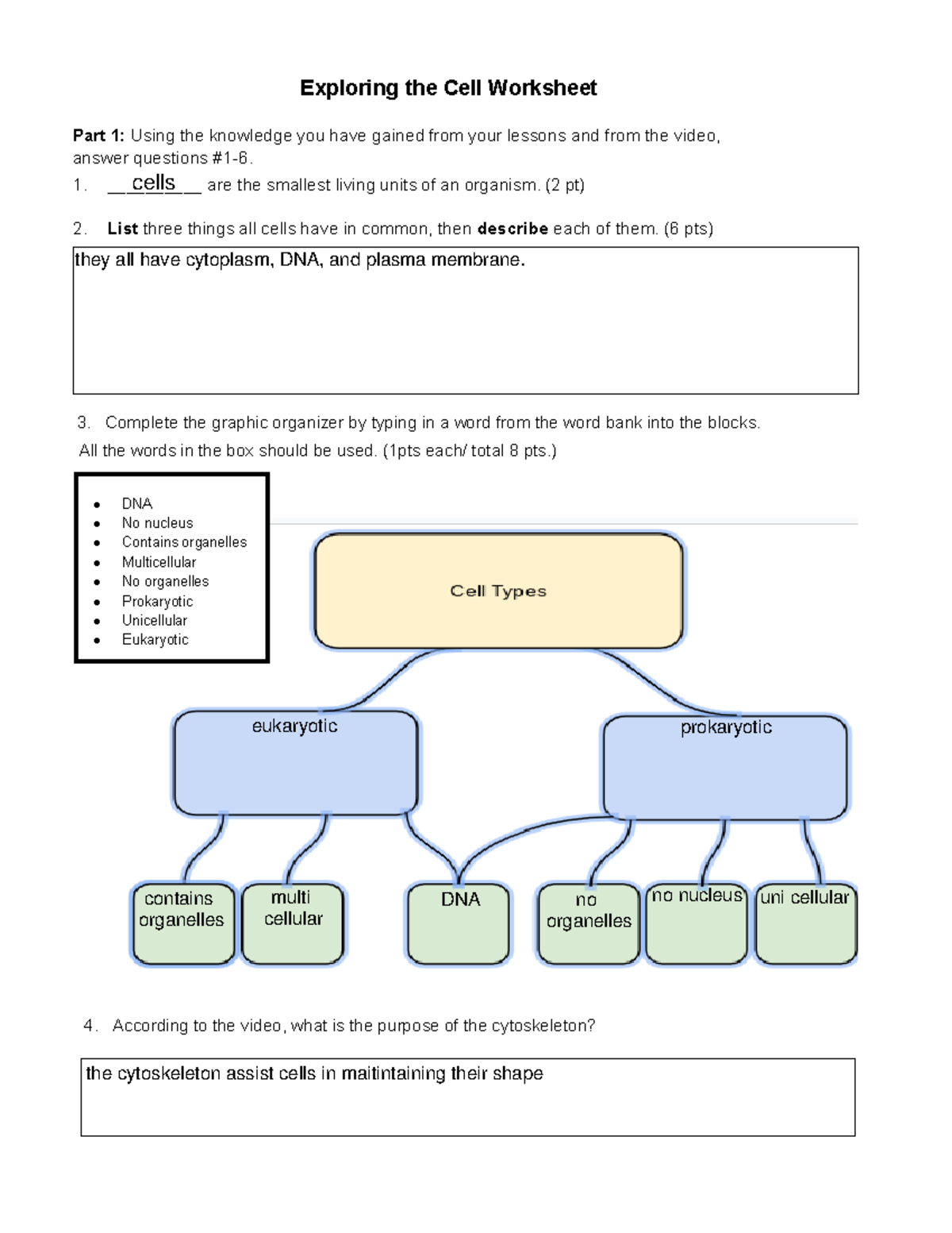 Exploring+the+Cell+Lab Student+worksheet - Exploring the Cell Worksheet ...