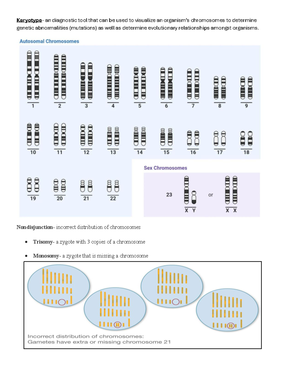 Karyotype Analysis & Genetic Disorders Practice Questions (BIO 101 ...
