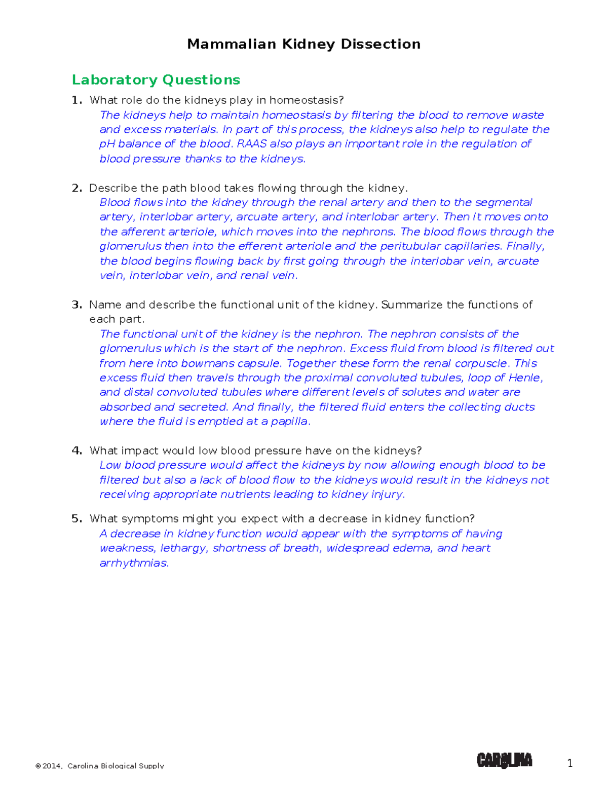 Mammalian Kidney Dissection Pre Lab Guide for Students - Studocu