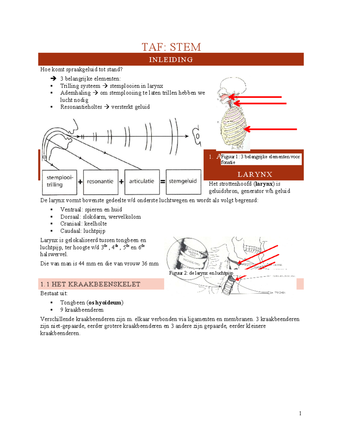 TAF - stem - Samenvatting TAF stem - TAF: STEM INLEIDING Hoe komt ...
