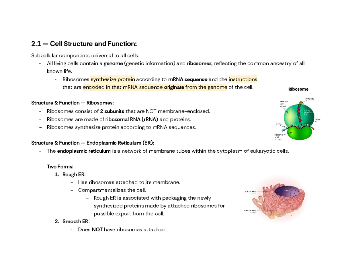 AP Biology: Membrane Structure & Function Overview (2.1 - 2.9) - Studocu