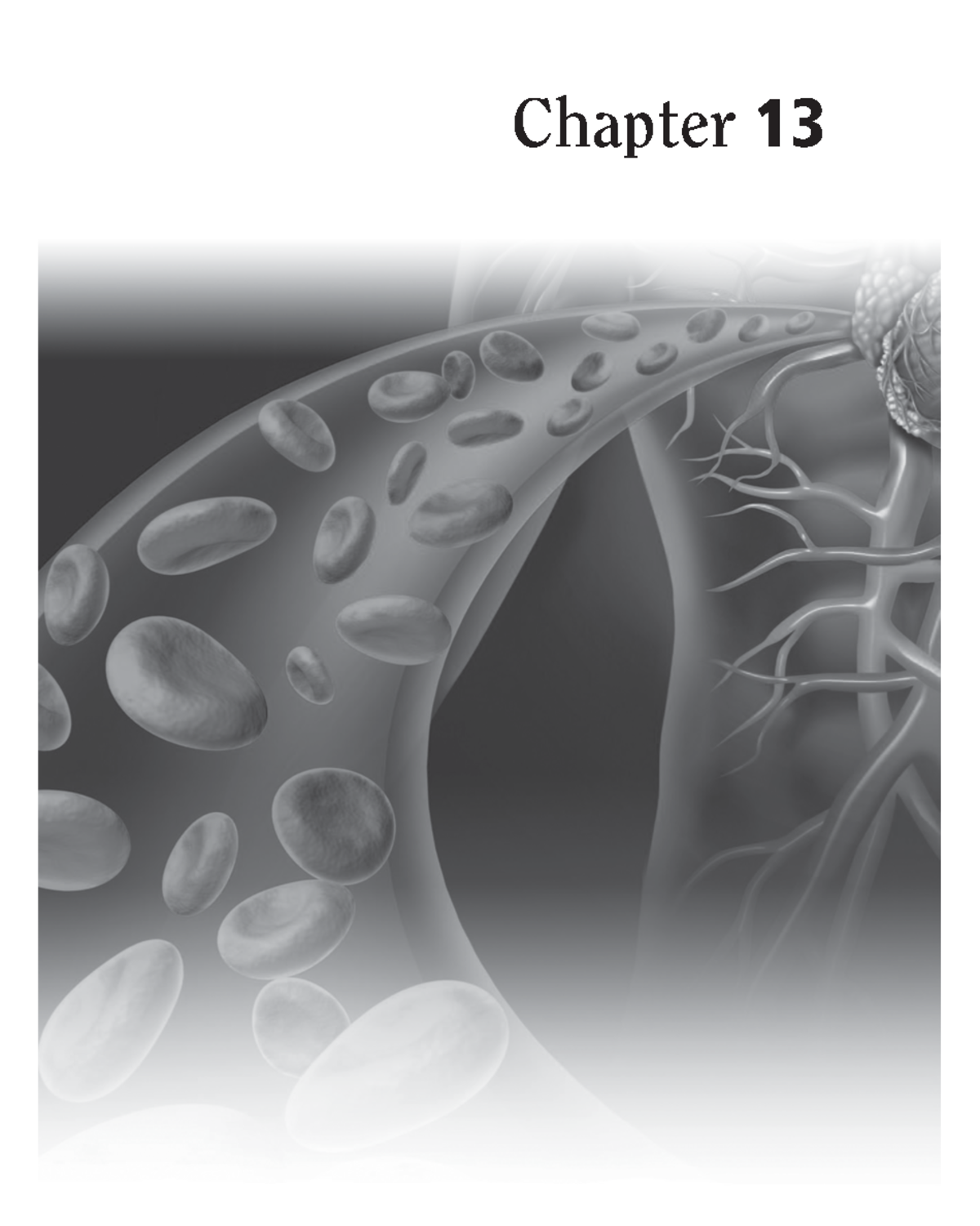 Ch 13 Worksheets & Quizzes - Language of Medicine Overview - Studocu