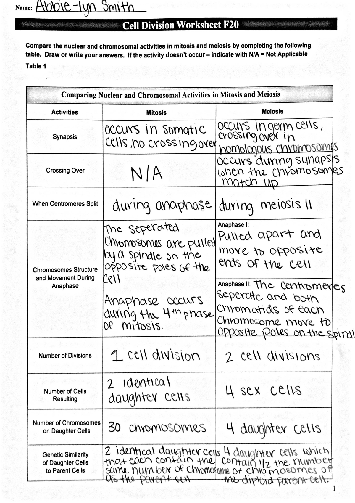Comparing Mitosis and Meiosis: F20 Cell Division Worksheet - Studocu