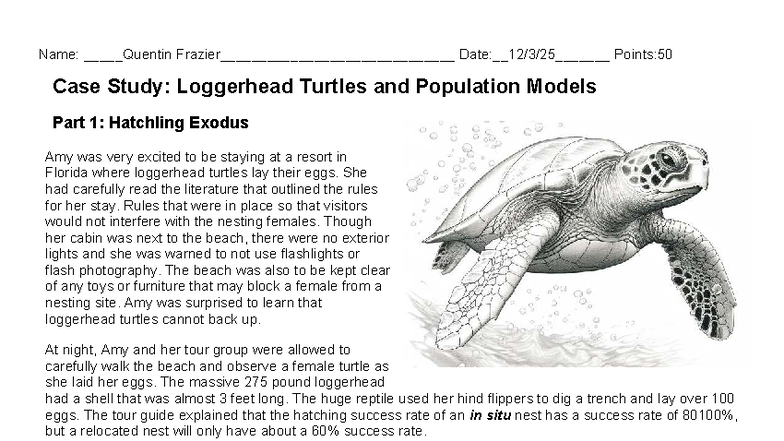 Case Study: Loggerhead Turtles and Population Models (50 Points) - Studocu