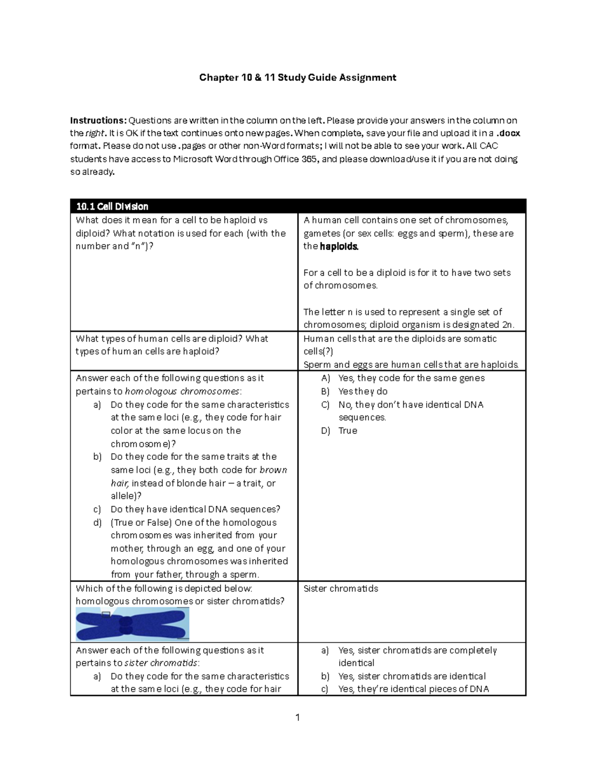 Cell Cycle and Mitosis Study Guide (Chapters 10-11) - Studocu