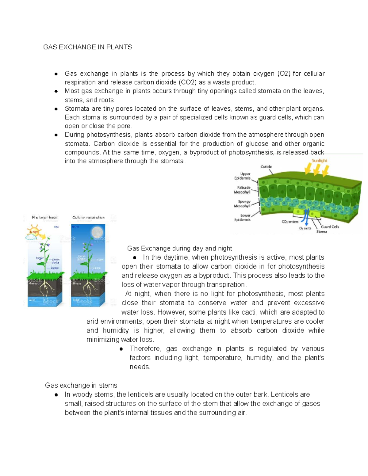 GAS EXCHANGE IN PLANTS - BIOLOGY 101 Lecture Notes - Studocu