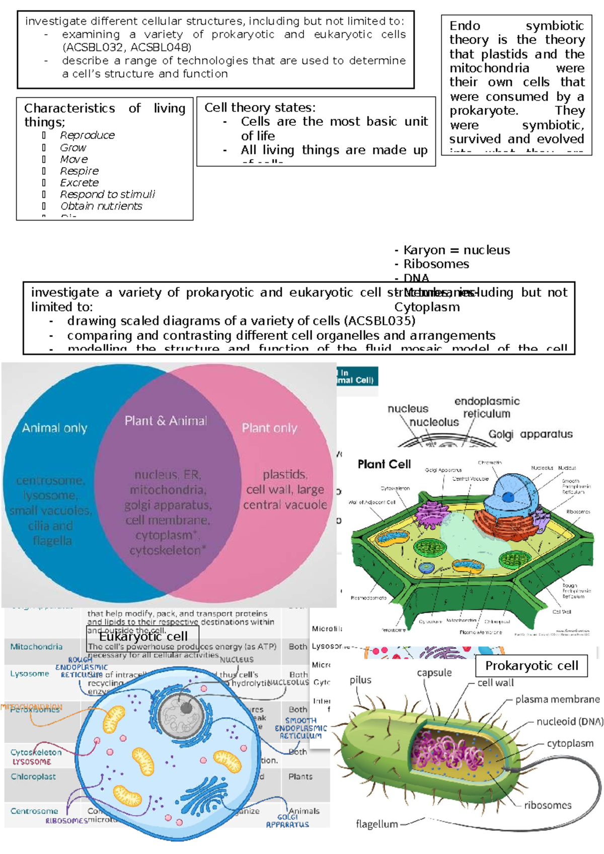 Cells as the Basis of Life: Structures, Functions, and Processes ...