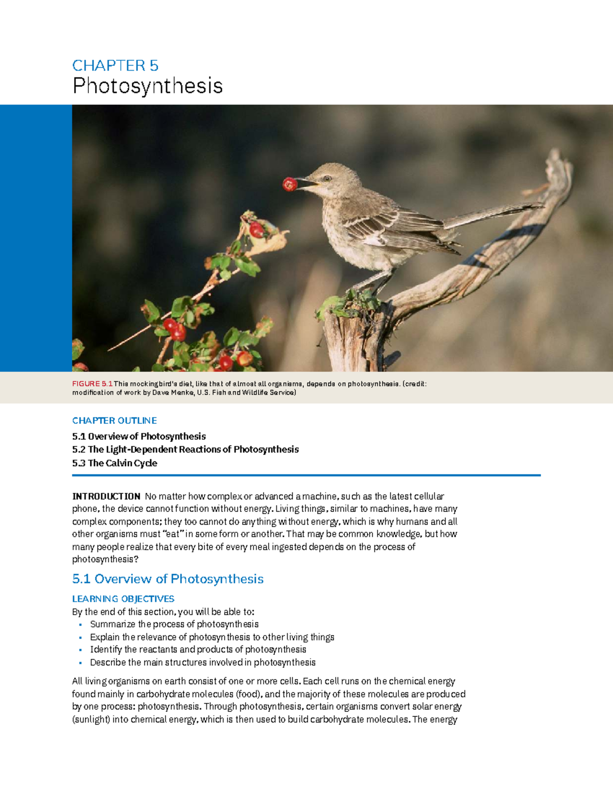 Photosynthesis: ATP, NADPH Generation & The Calvin Cycle (Chapter 5 ...