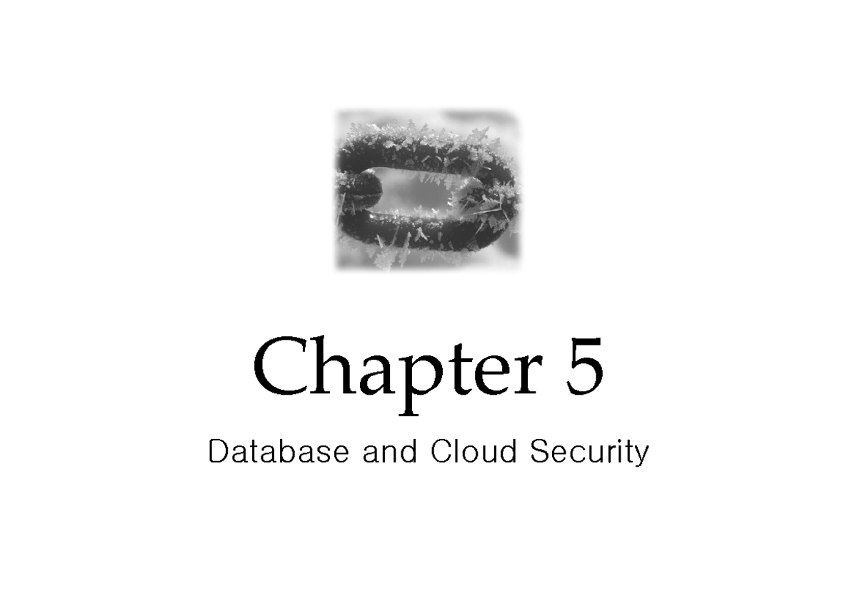 CH05-English - Computer security - Chapter 5 Database and Cloud Security Structured collection ...
