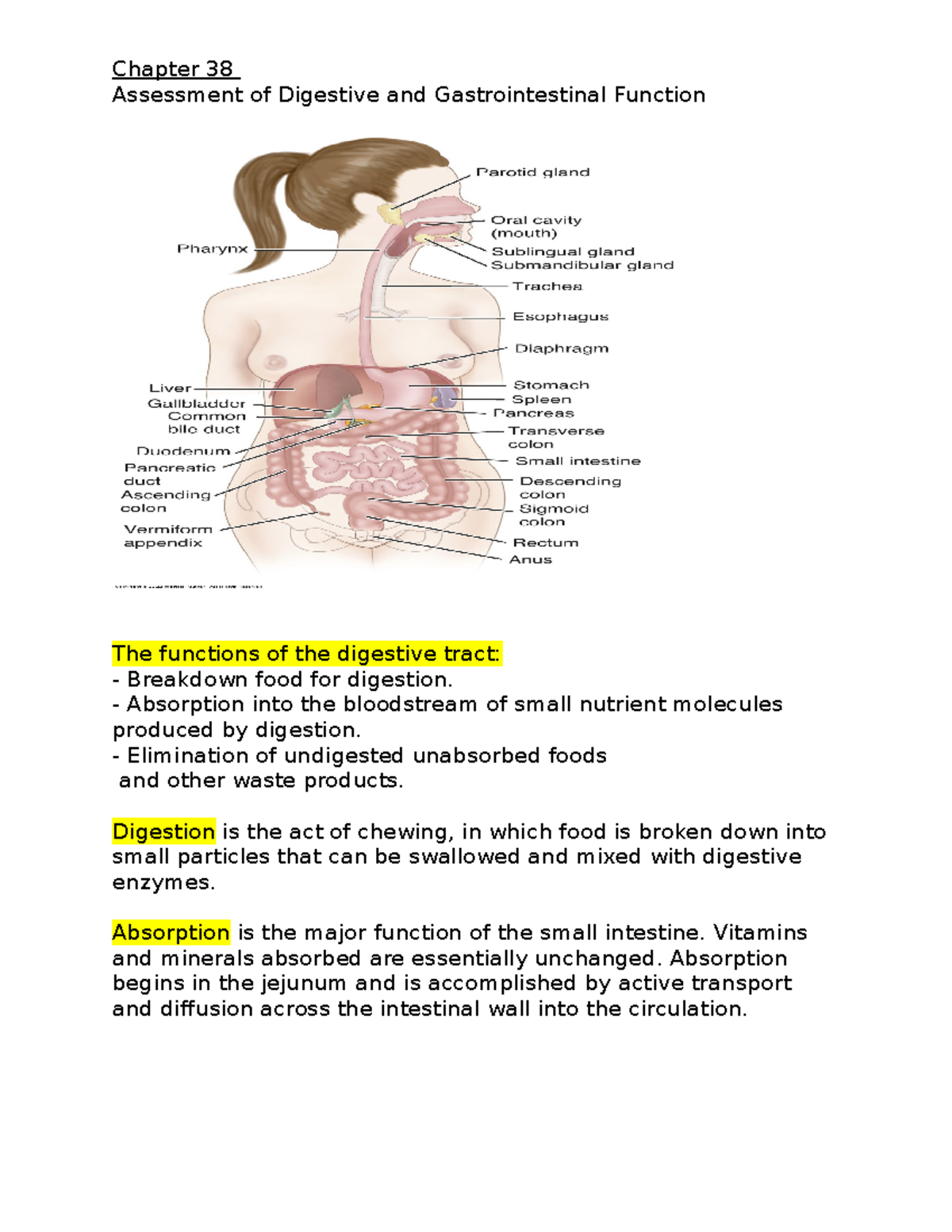 Chapter 38 - GI System Assessment and Digestive Function Notes - Studocu