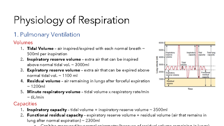 C3 - Physiology of Respiration: Pulmonary Ventilation and Mechanics ...