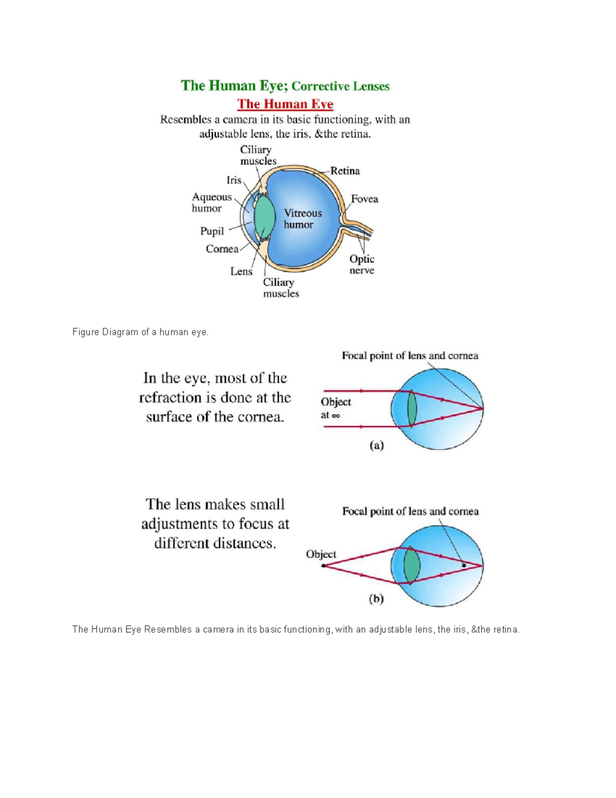 Human Eye Notes - PHYS 101: Understanding Vision and Defects - Studocu