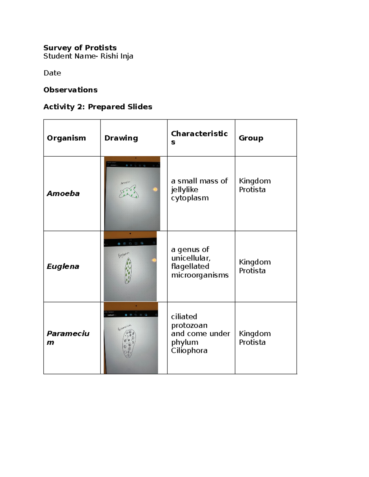 Lab 3 Micro - Survey of Protists and Their Characteristics - Studocu