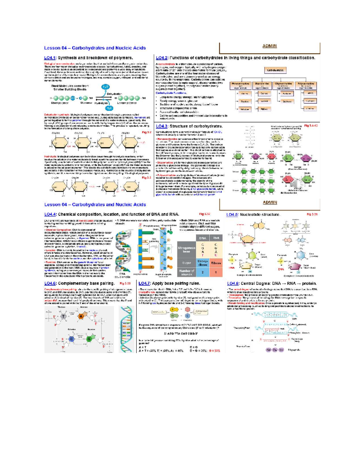 ADMIN Lesson 04: Carbohydrates & Nucleic Acids Overview - Studocu
