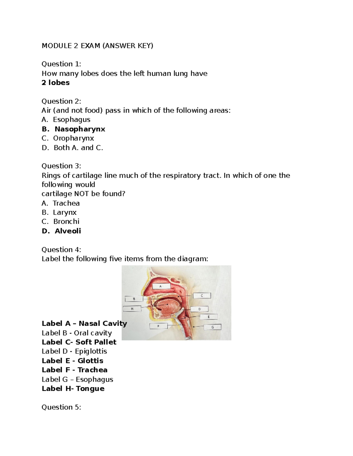 Module 2 Practice - MODULE 2 EXAM (ANSWER KEY) Question 1: How many ...