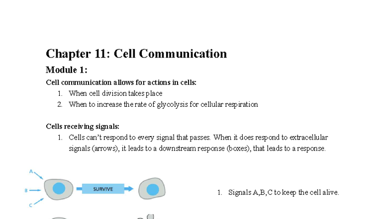 Biology 102-2: Lecture Notes on Cell Communication and Signaling - Studocu