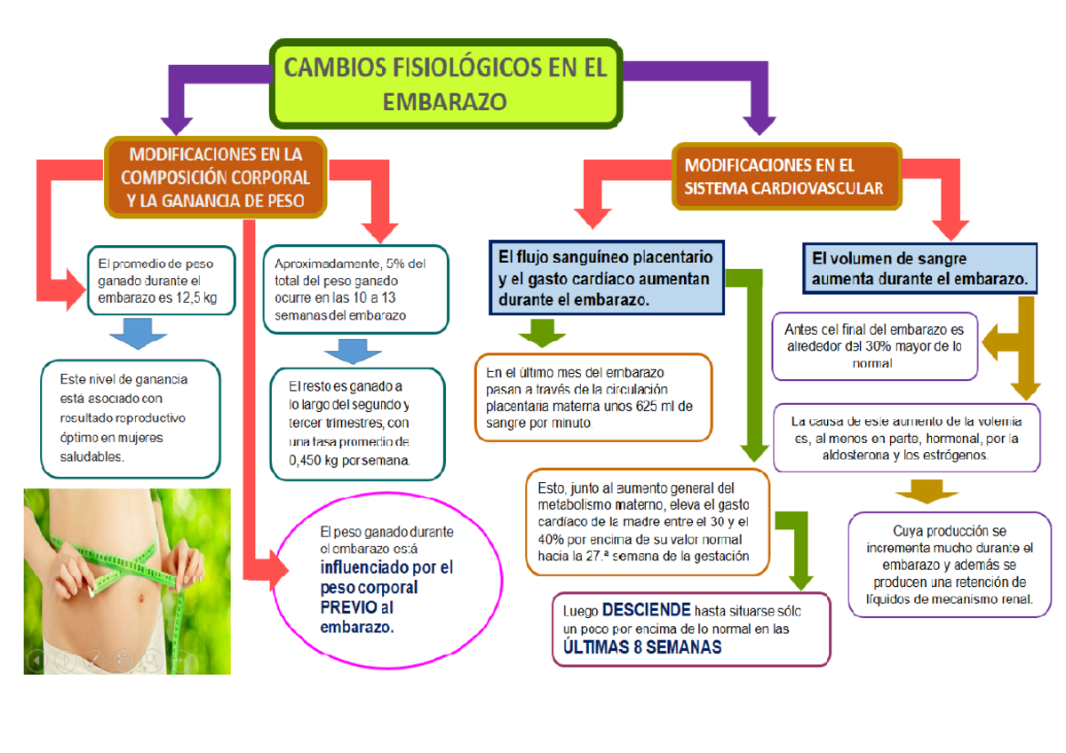 Mapa cambios fisiológicos - Ramírez O, Martínez M, García S. Duración ...