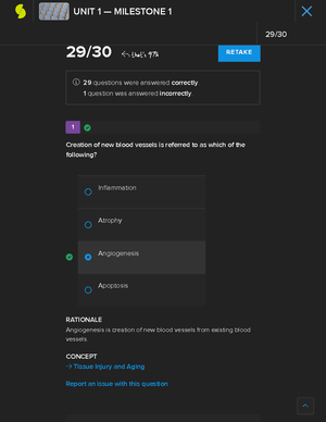 Sophia AP Milestone 4 - 1 CONCEPT → Central Nervous System: Brainstem and Cerebellum 22/25 that ...