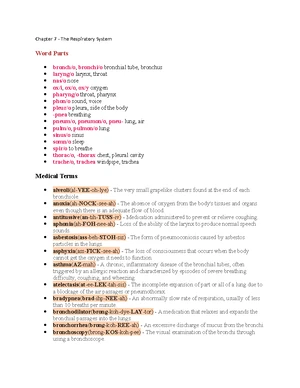 Chapter 3 - The Skeletal System - Chapter 3 - The Skeletal System Major ...